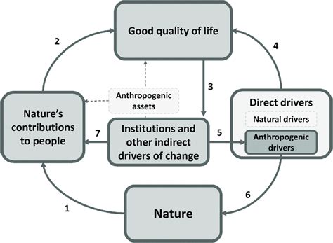 The Ipbes Conceptual Framework Boxes Denote The Basic Components Of