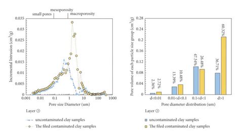 Pore Size Distribution Of Contaminated And Uncontaminated Samples A
