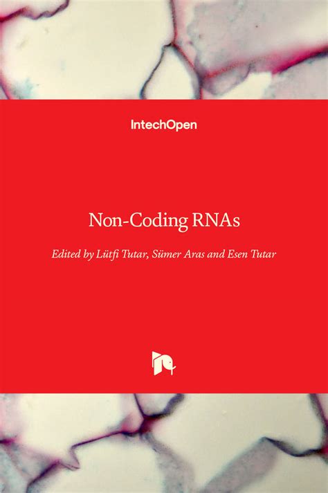 Non Coding RNAs IntechOpen