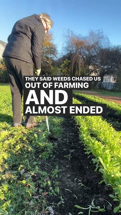 comment hoe and i ll dm the link to my standup straight garden hoe