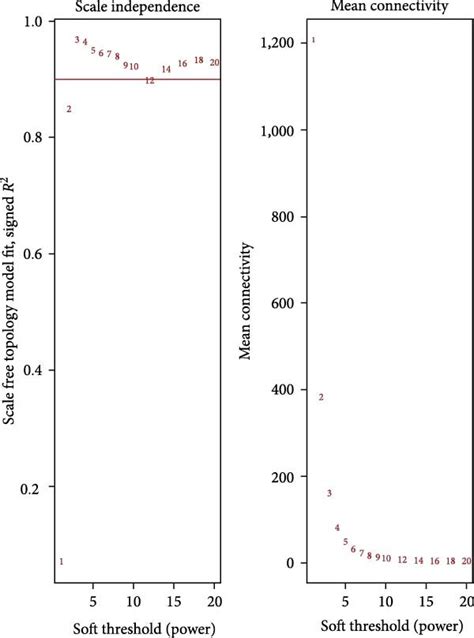 A Clustering Was Based On The Top 25 Variance Of The Genes In