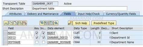 Abap Dictionary Database View