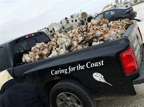 Robotecs Sj Robotics