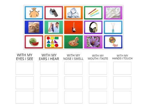 Five Senses Group Sort