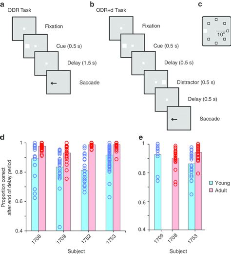 task and behavioural performance a frames represent sequence of