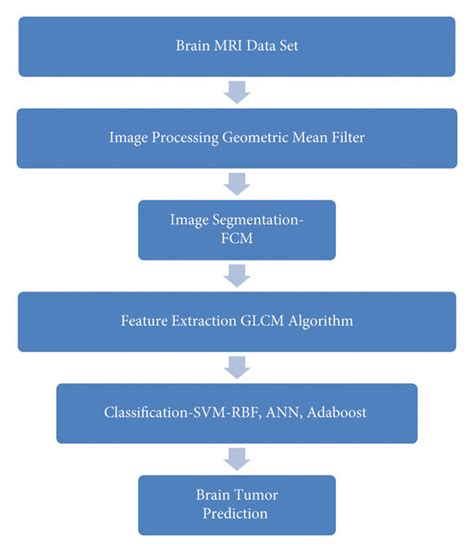 machine learning and medically enabled multimodal for segmentation and