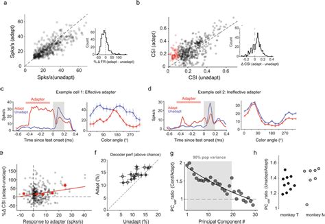 cross feature adaptation modulates stimulus coding a neural responses