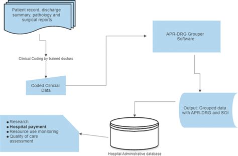 The Information Flow And Data Lifecycle Related To The APR DRG System Download Scientific