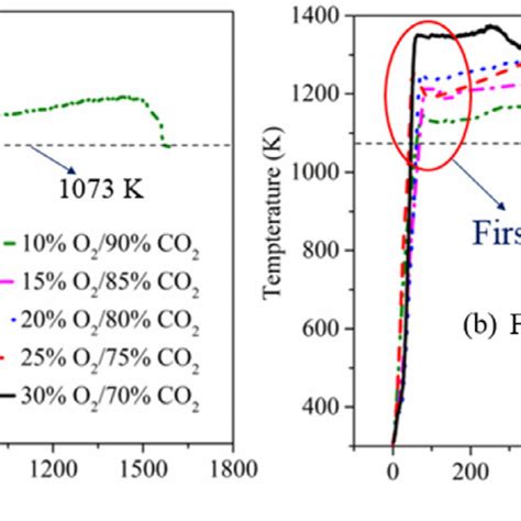 Lignite Particle Temperature Profiles Under O 2 Co 2 Atmosphere Download Scientific Diagram