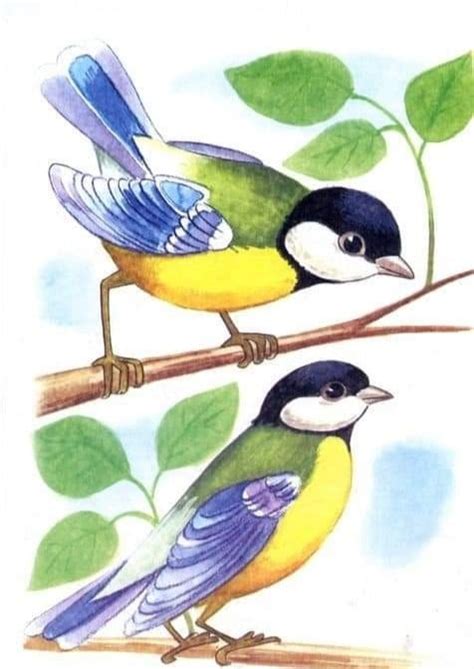 პეპის საკვირაო სკოლა