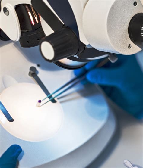 Sem Microscope Analysis With Microscope Sem