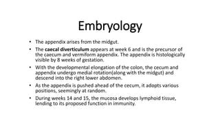VERMIFORM APPENDIX Pptx Digestive Disorders Diseases And Conditions