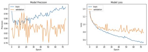 High Regularization In The Model Training Graphs Due To The Batch