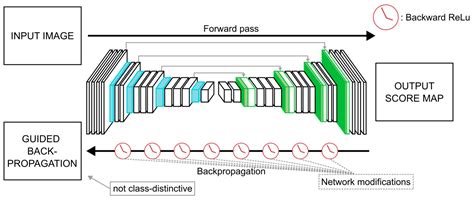 Neuroscope An Explainable Ai Toolbox For Semantic Segmentation And