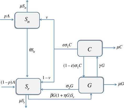 A Schematic Diagram For The Model Download Scientific Diagram