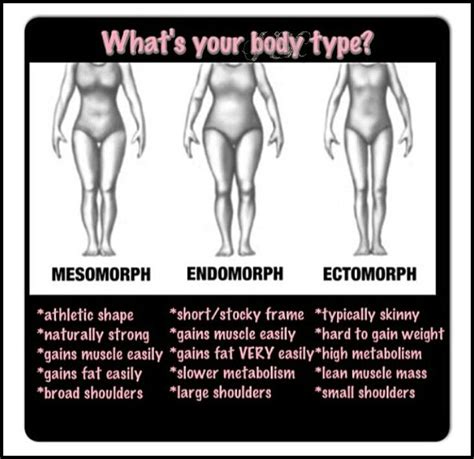 Best Sexy Abs Images On Pinterest Exercises Fit And Fitness Women