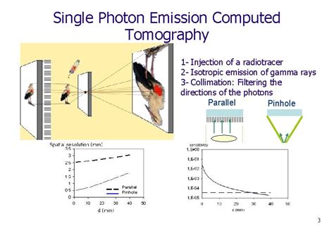 Modeling A Flexible Detector Response Function In Small