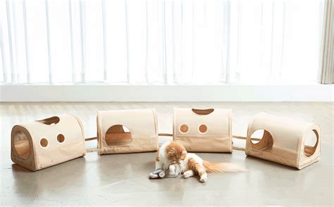 고양이 장난감 트레인익스프레스 Dtx 고양이 터널 장난감 오늘의집 쇼핑