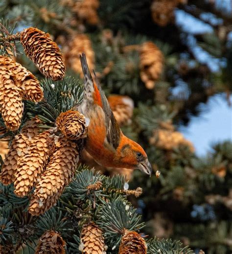 Pin De Pohuyu Em Земля