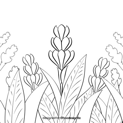 Ginger Flower Outline