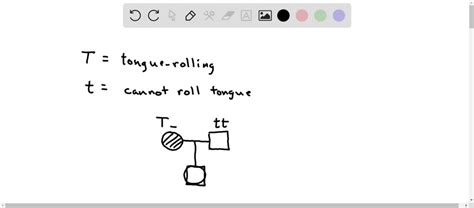 Solved B The Ability To Curl Your Tongue Up On The Sides T Tongue Rolling Is Dominant To Not