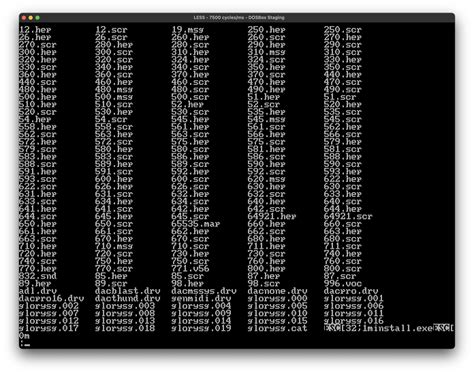 Suggested Improvements To Staging S Implementation Of The LS Command Issue Dosbox