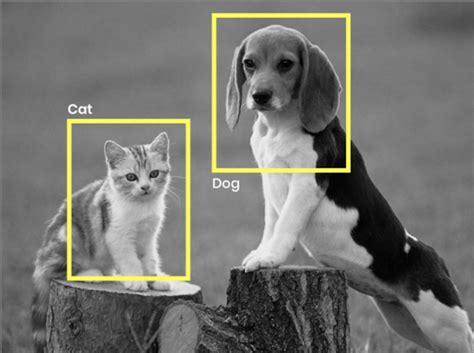 Understanding Lexical Environments And Scope Chain In Javascript By
