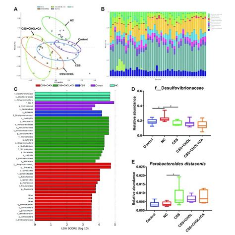 Css Restores The Normal Intestinal Microflora Constitution In Mice