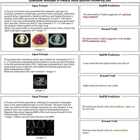 Qualitative Examples Of Medical Visual Question Answering Vqa We