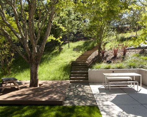 Deck Around Tree Houzz