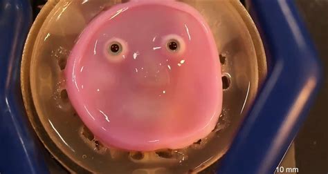 Breakthrough In Human Like Robotics Tokyo Scientists Create Adhesive Skin
