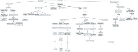 Poesia Piu Piu Weji Debi