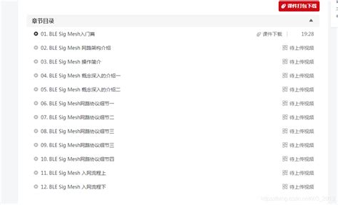 ble sig mesh 协议从零到深入 ble mesh 协议 csdn博客