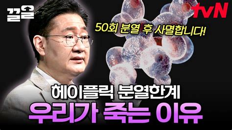 인간이 죽는 이유는 Oooo 때문입니다💥 우리는 왜 죽는가에 대한 모든 것 〈이만하면 괜찮은 죽음〉 책읽어주는나의서재 Youtube