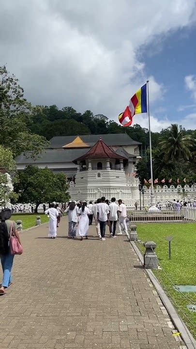 හිත නිවන පින්බිම 🙏🧘‍♂️😌 දළදා මාලිගාව Sri Dalada Maligawa Kandy Srilanka Kandy Viral Youtube