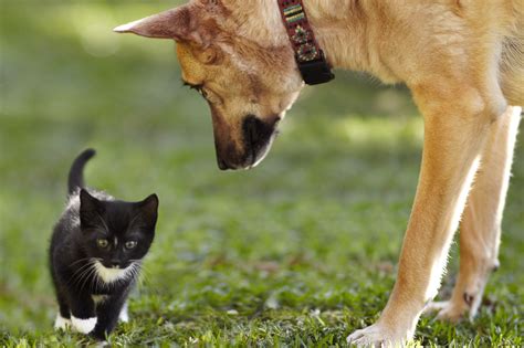 Your Top Tips For Being More Assertive Mindtools