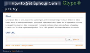 How To Set Up Web Proxy On Ubuntu Server LinuxBabe