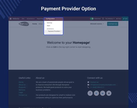 Odoo Website Axepta Payment Gateway Webkul
