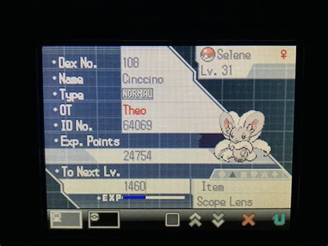 My Minccino Finally Got To Evolve Im So Proud R Nuzlocke