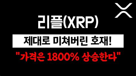 리플 제대로 미쳤습니다 가격 상승 안하면 떠나겠습니다 대신 영상 내용을 모두 흡수하세요 리플코인 분석 및 전망