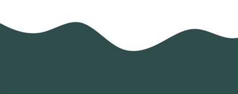 learn full stack web development from zero to pro anchorsoft academy