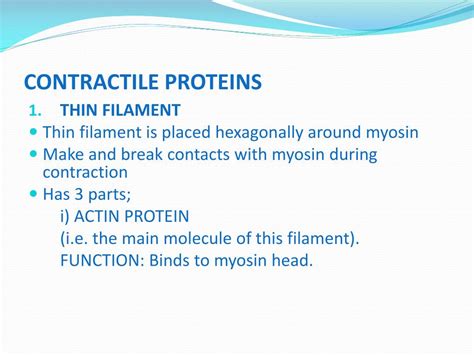 Proteins Contractile Elements At Meg Mullen Blog