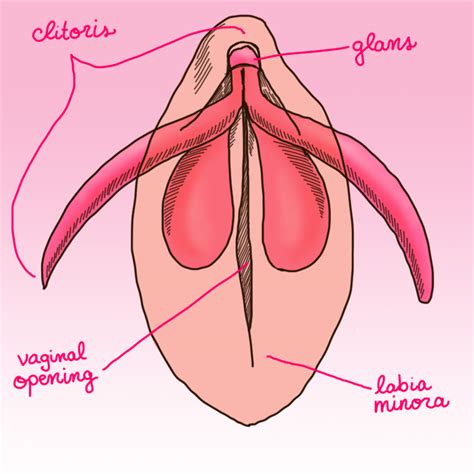 10 Things Women Still Get Wrong About The Female Anatomy