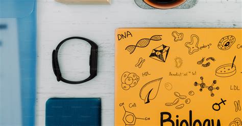 공책 펜 연필 커피 한 잔이 있는 책상 사진 Unsplash의 책상 필수품 이미지