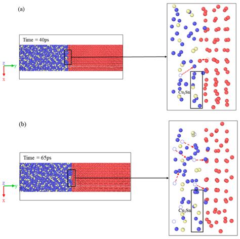 Molecular Dynamics Simulation Of The Cu3sncu Interfacial Diffusion