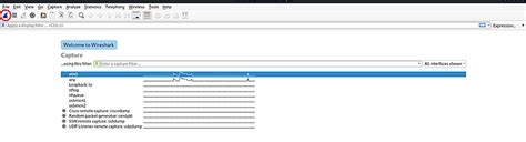 Analisis Lalu Lintas Jaringan Dan Sniffing Menggunakan Wireshark