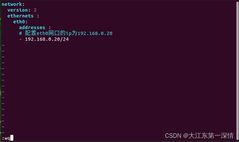 linux桌面端ubuntu20 04安装和使用netplan修改ip地址 重装netplan csdn博客