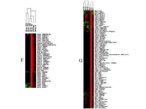 pictures obtained after data clustering of the ssh hybridizations using