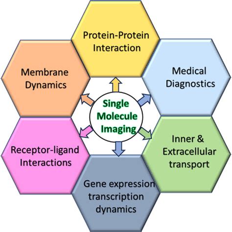 Applications Of Single Molecule Imaging In Drug Discovery Download