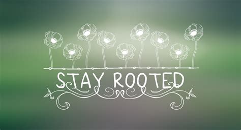 The Most Important Thing You Can Do To Stay Rooted Incm Blog